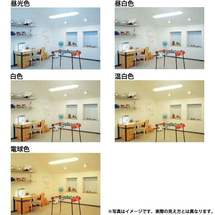 DAIKO大光電機LEDダウンライト60W相当Φ125昼白色DDL-5105WW 最大41%OFFクーポン