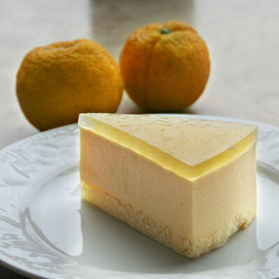 【楽天市場】1cutケーキ ジャバラオレンジのムースケーキ～トッピングジャバラゼリー～(1カット/冷凍便）：ARANCIA mica male