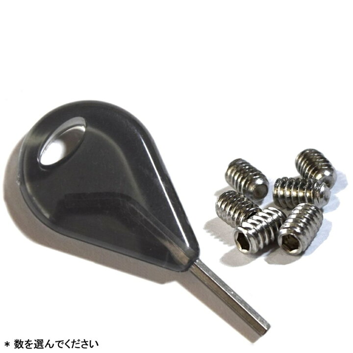 FCS FCS2 ねじ単品 FIN Stainless Steel SCREW エフシーエス フィン フィンキー スクリュー プラグ用ネジ ...