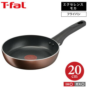 価格.com - ティファール IHチタン・エクセレンス モカ フライパン 20cm G17202 (フライパン) 価格比較