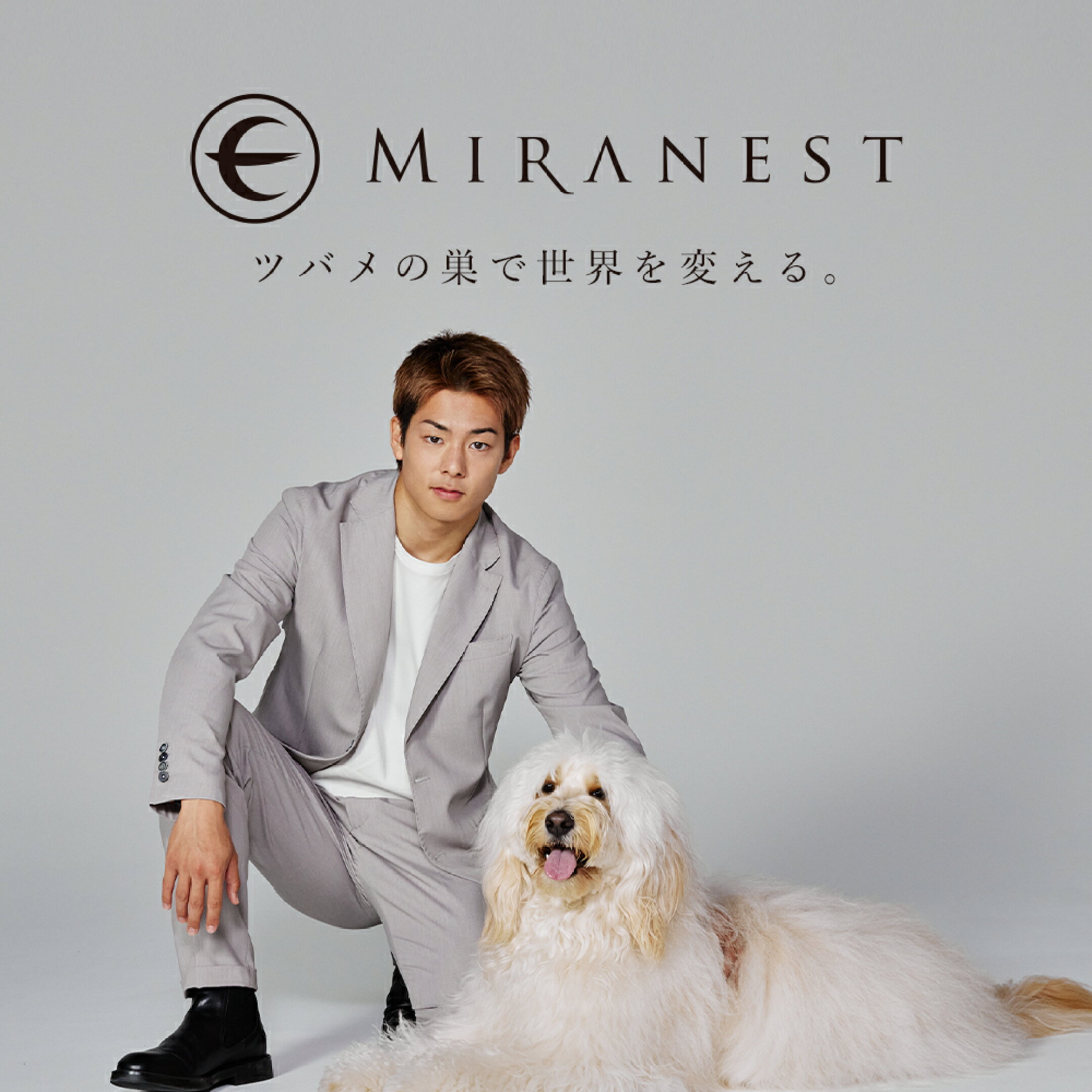 楽天市場 | BI-SU - 100%天然アナツバメの巣を使用した美容食品・コスメを扱うブランド