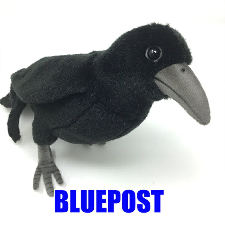 数々の賞を受賞 BH 6266 HANSA カラス31 yoshiyuki0804.sub.jp