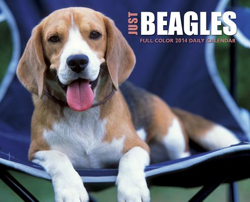 楽天ブックス: Just Beagles - Mark Raycroft - 9781623430078 : 洋書