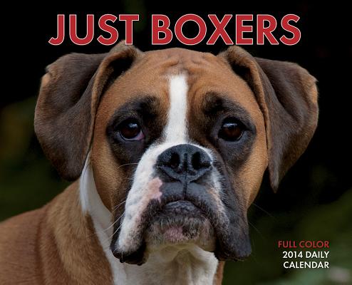 楽天ブックス: Just Boxers - Mark Raycroft - 9781623430092 : 洋書