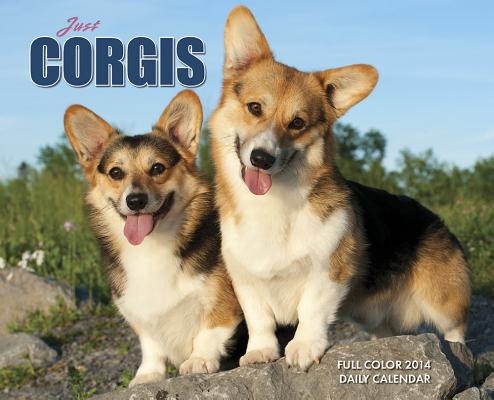 楽天ブックス: Just Corgis - Mark Raycroft - 9781623430122 : 洋書