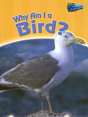 楽天ブックス: Why Am I a Bird? - Greg Pyers - 9781410920140 : 洋書