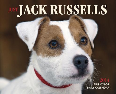 楽天ブックス: Just Jack Russells - Mark Raycroft - 9781623430160 : 洋書