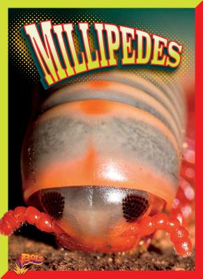 楽天ブックス: Millipedes - Gail Radley - 9781644660225 : 洋書