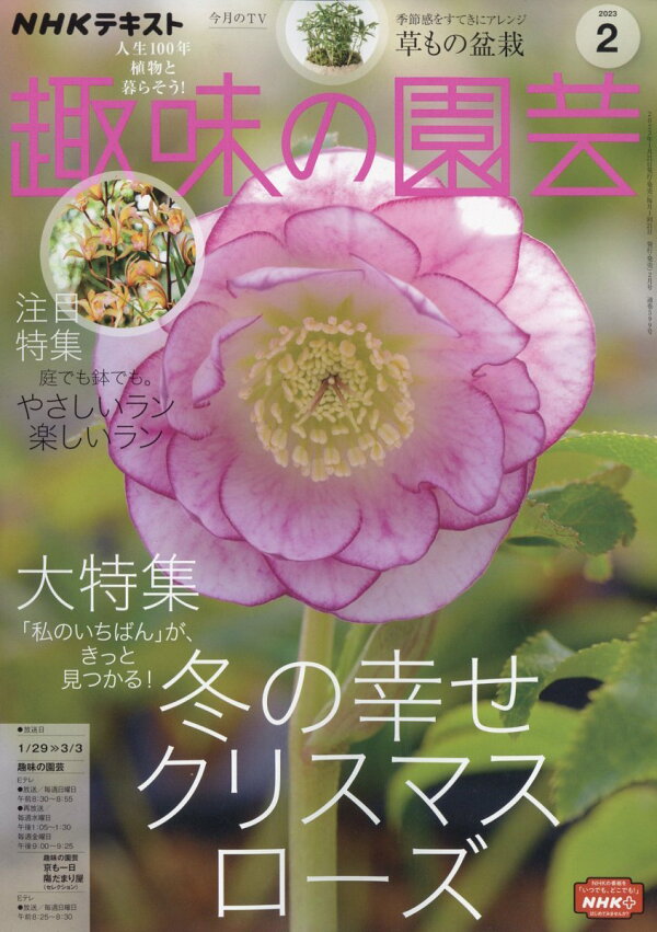 楽天ブックス: NHK 趣味の園芸 2023年 2月号 [雑誌] - NHK出版 - 4910064570233 : 雑誌