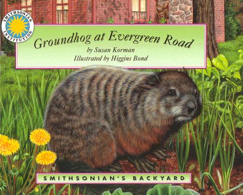 楽天ブックス: Groundhog at Evergreen Road - Susan Korman - 9781592490233 : 洋書