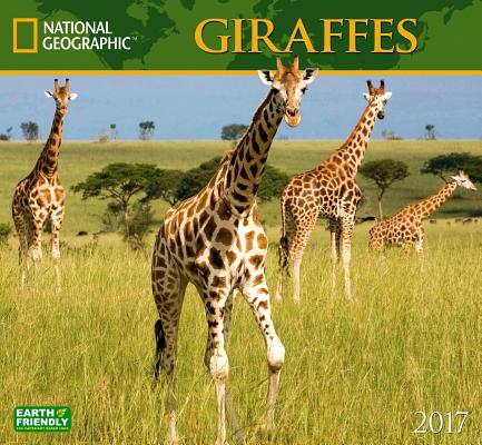 楽天ブックス: National Geographic Giraffes - National Geographic ...