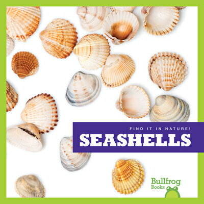 楽天ブックス: Seashells - Jenna Lee Gleisner - 9798892130394 : 洋書