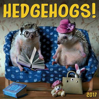 楽天ブックス: Hedgehogs - Zebra Publishing - 9781772180572 : 洋書