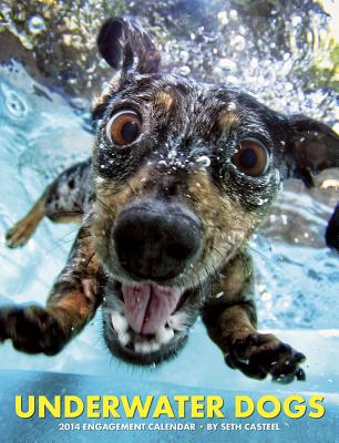 楽天ブックス: Underwater Dogs Calendar - Seth Casteel - 9781623430580 : 洋書