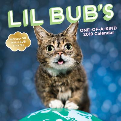 楽天ブックス: Lil Bub 2019 Wall Calendar - Lil Bub - 9781419730801 : 洋書