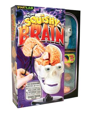 楽天ブックス: The Amazing Squishy Brain - Smartlab Toys - 9781603800846 : 洋書