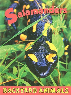 楽天ブックス: Salamanders - Nick Winnick - 9781605960852 : 洋書