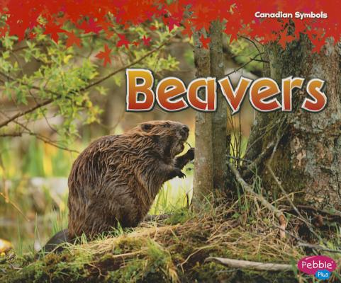 楽天ブックス: Beavers - Sabrina Crewe - 9781491470916 : 洋書