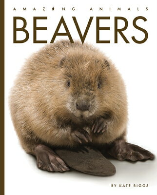 楽天ブックス: Beavers - Kate Riggs - 9781682770931 : 洋書