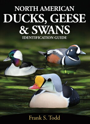 楽天ブックス: North American Ducks, Geese and Swans: An Identification Guide - Frank Todd ...