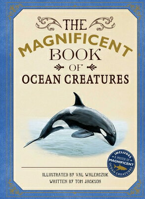楽天ブックス: The Magnificent Book of Ocean Creatures - Tom Jackson ...