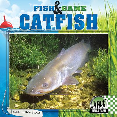 楽天ブックス: Catfish - Sheila Griffin Llanas - 9781624031069 : 洋書