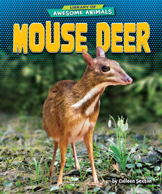 楽天ブックス: Mouse Deer - Colleen Sexton - 9798885091107 : 洋書