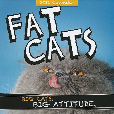 楽天ブックス: Fat Cats Calendar: Big Cats. Big Attitude. - Sourcebooks Inc ...