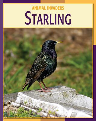 楽天ブックス: Starling - Susan H. Gray - 9781602791138 : 洋書