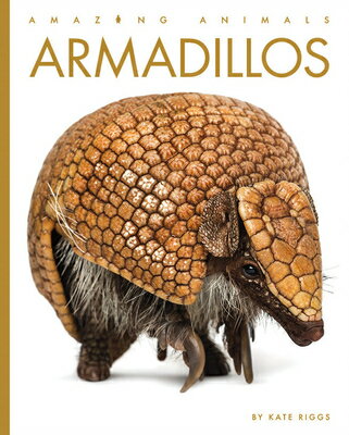 楽天ブックス: Armadillos - Kate Riggs - 9781682771143 : 洋書