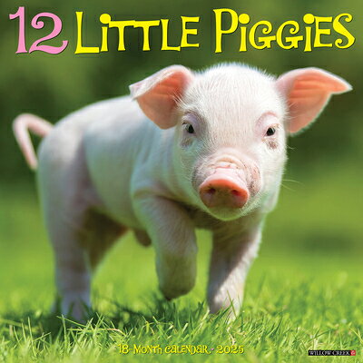 楽天ブックス: 12 Little Piggies 2025 12 X 12 Wall Calendar - Willow Creek ...