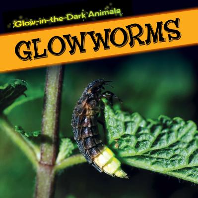 楽天ブックス: Glowworms - Kristen Rajczak Nelson - 9781499401264 : 洋書