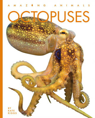 楽天ブックス: Octopuses - Kate Riggs - 9781682771266 : 洋書