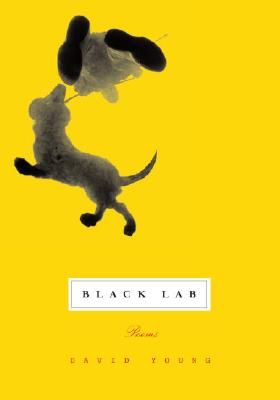 楽天ブックス: Black Lab: Poems - David Young - 9780375711299 : 洋書