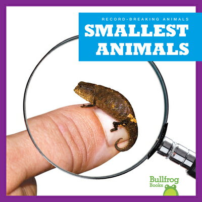 楽天ブックス: Smallest Animals - Lily Austen - 9798892131346 : 洋書