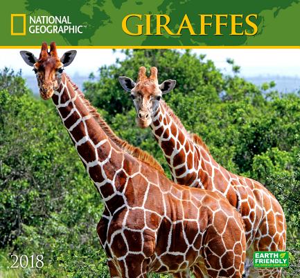 楽天ブックス: National Geographic Giraffes 2018 Wall Calendar - National ...