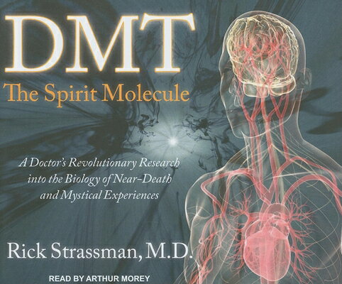 楽天ブックス: DMT: The Spirit Molecule: A Doctor's Revolutionary Research ...