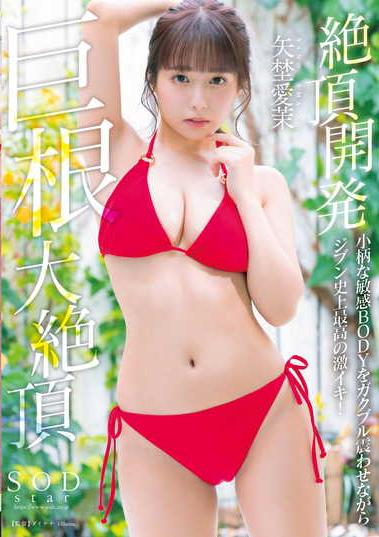楽天ブックス 絶頂開発 小柄な敏感bodyをガクブル震わせながらジブン史上最高の激イキ 巨根大絶頂 矢埜愛茉 矢埜愛茉