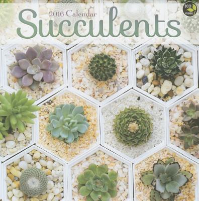 楽天ブックス: Succulents Calendar - TF Publishing - 9781624381553 : 洋書