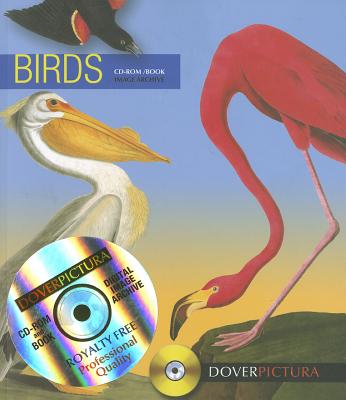 楽天ブックス: Birds [With CDROM] - Alan Weller - 9780486991580 : 洋書
