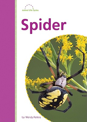 楽天ブックス: Spider - Wendy Perkins - 9781607531609 : 洋書
