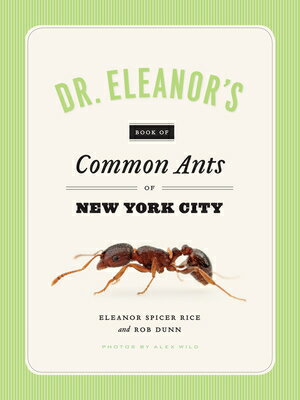 楽天ブックス: Dr. Eleanor's Book of Common Ants of New York City - Eleanor ...