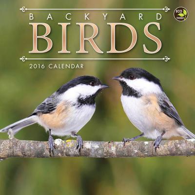 楽天ブックス: Backyard Birds Calendar - TF Publishing - 9781624381782 : 洋書