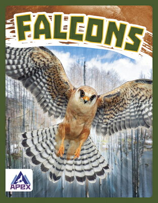 楽天ブックス: Falcons - Connor Stratton - 9781637381786 : 洋書