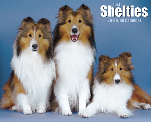 楽天ブックス: Just Shelties Wall Calendar - Willow Creek Press ...