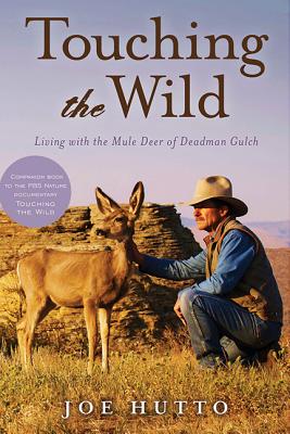 楽天ブックス: Touching the Wild: Living with the Mule Deer of Deadman Gulch ...