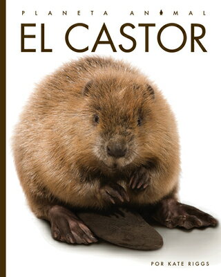 楽天ブックス: El Castor - Kate Riggs - 9781682772232 : 洋書