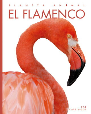 楽天ブックス: El Flamenco - Kate Riggs - 9781682772270 : 洋書