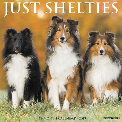 楽天ブックス: Just Shelties 2019 Wall Calendar (Dog Breed Calendar) - Willow ...