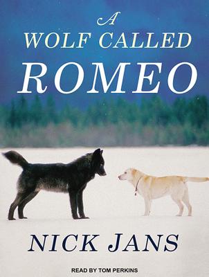 楽天ブックス: A Wolf Called Romeo - Nick Jans - 9781494502416 : 洋書